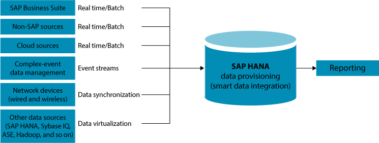 SAP Data Services: How to Extract, Transform, and Load Data into SAP HANA - Mastering SAP